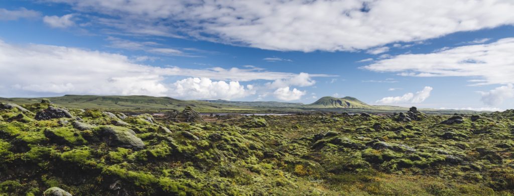 IJslands mos | isla pastilles | waarom is IJslands mos goed voor je stem?